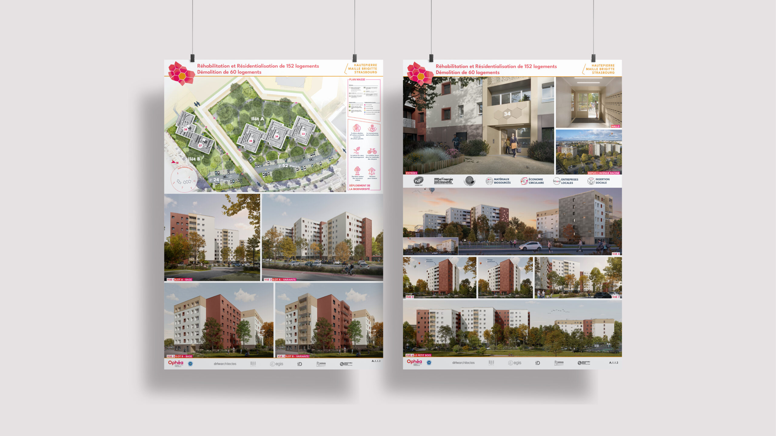 Maille Brigitte - Renouvellement du quartier de Hautepierre – Archi Graphi